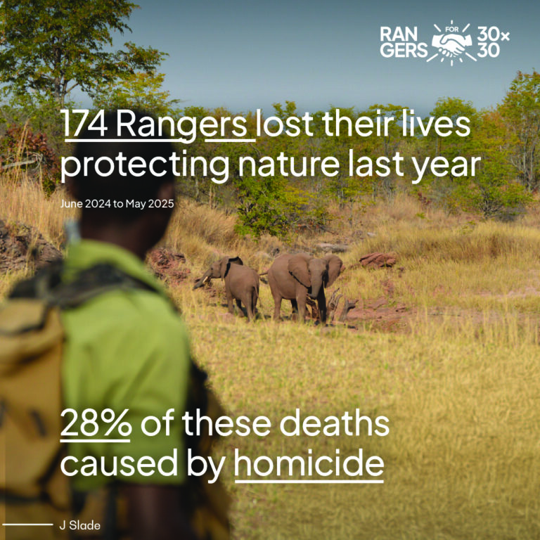 2025 World Ranger Day - International Ranger Federation
